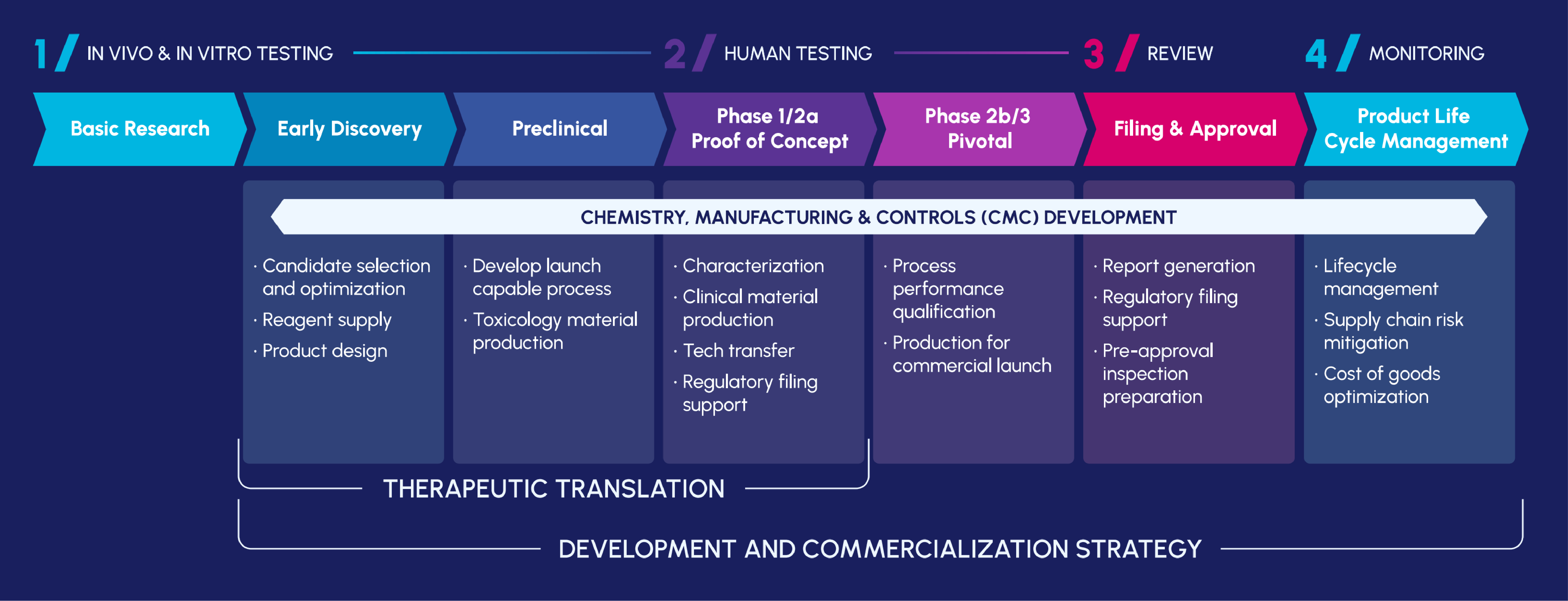 From Risk to Readiness: How Smart CMC Strategy Defines Advanced Therapy ...