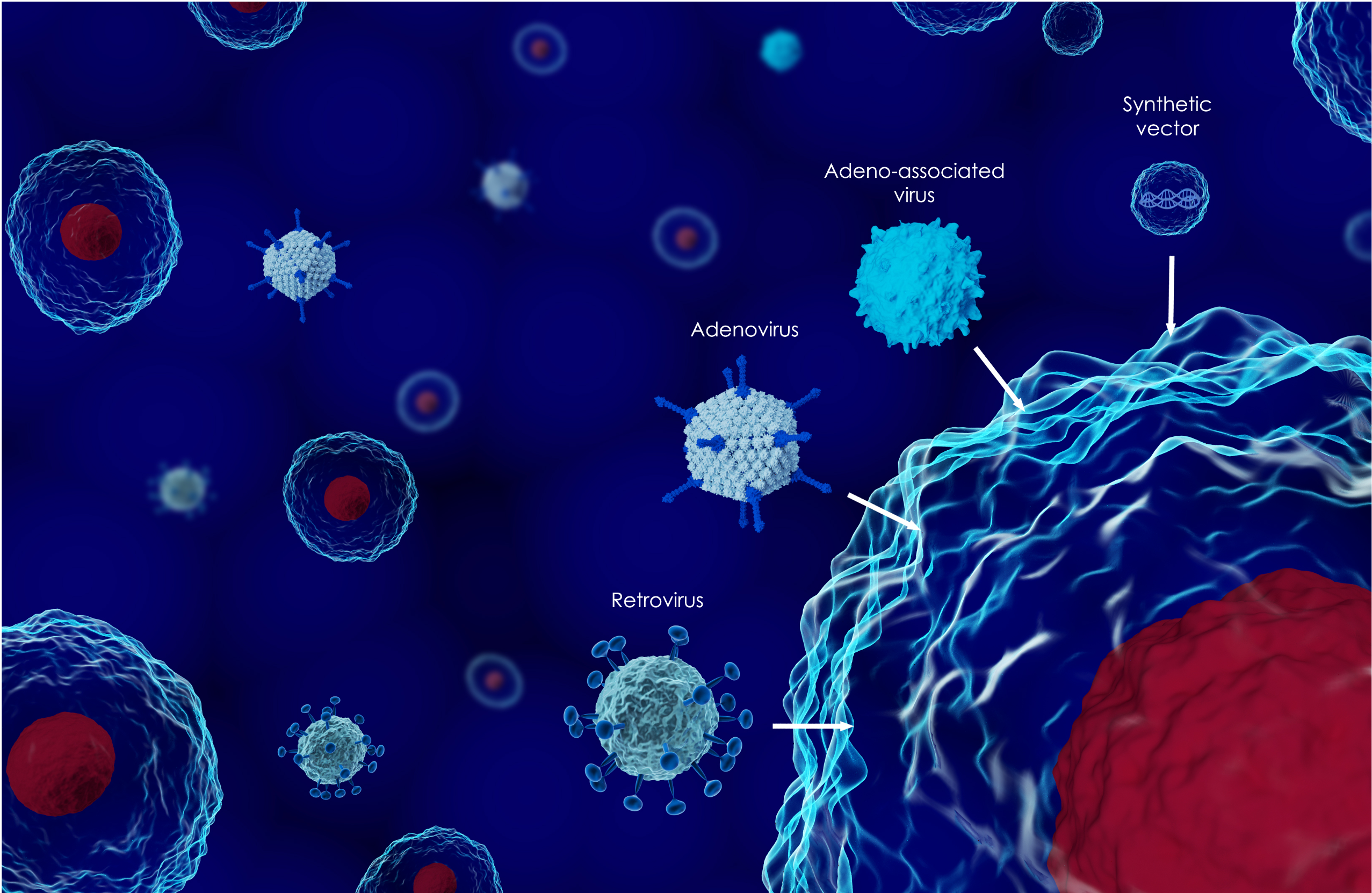 Viral Vectors: The Backbone of Cell and Gene Therapy